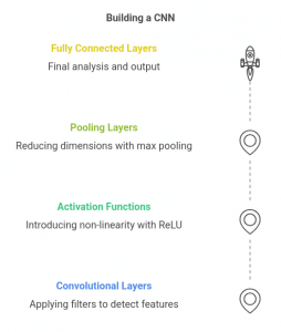 Introduction To Convolutional Neural Networks (CNN) — Meta Ai Labs™