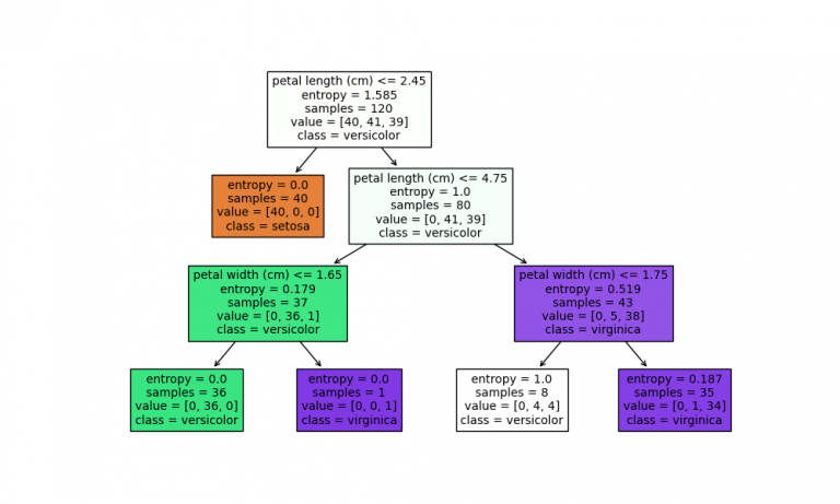 Introduction to Decision Tree Algorithm with Examples