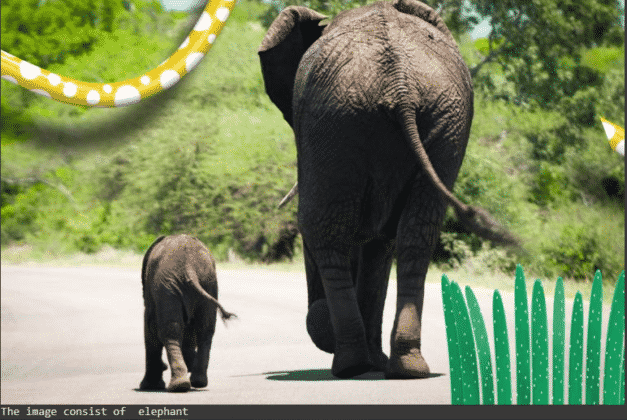 What is Image Recognition their functions, algorithm | Great learning