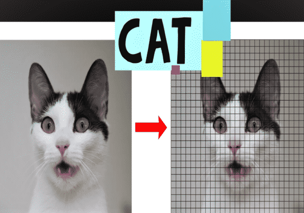 Image Recognition: How AI Identifies Faces and Objects