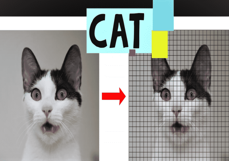 Image Recognition: How AI Identifies Faces and Objects