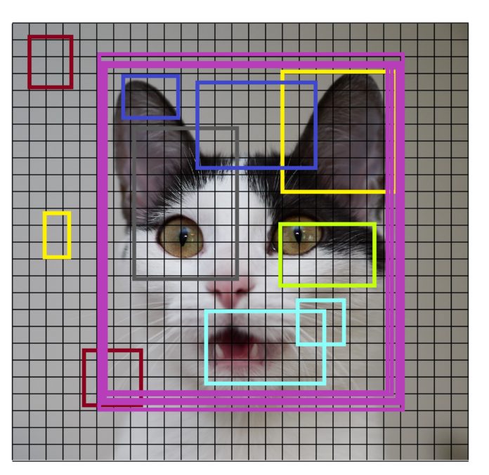Real-Time Object Detection Using TensorFlow