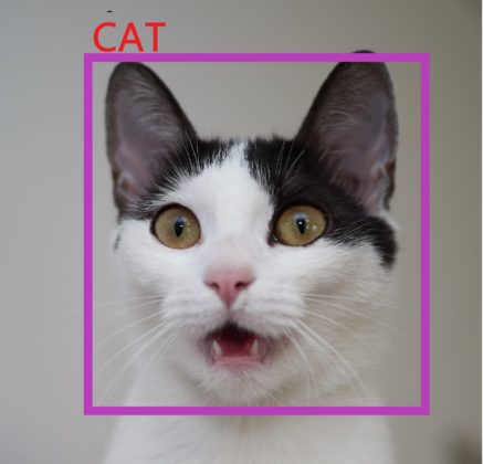 Real-Time Object Detection Using TensorFlow