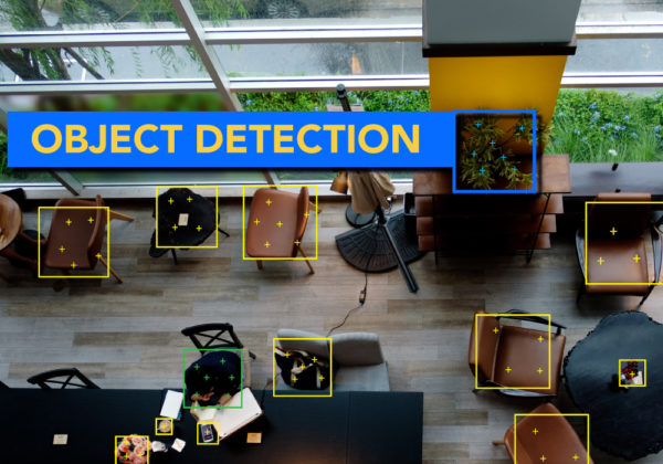 Object Detection in Pytorch | What is Object Detection?