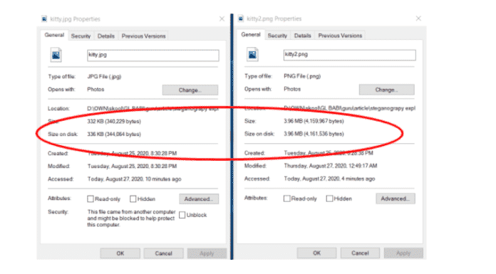 Image Steganography Explained | What is Image Steganography?