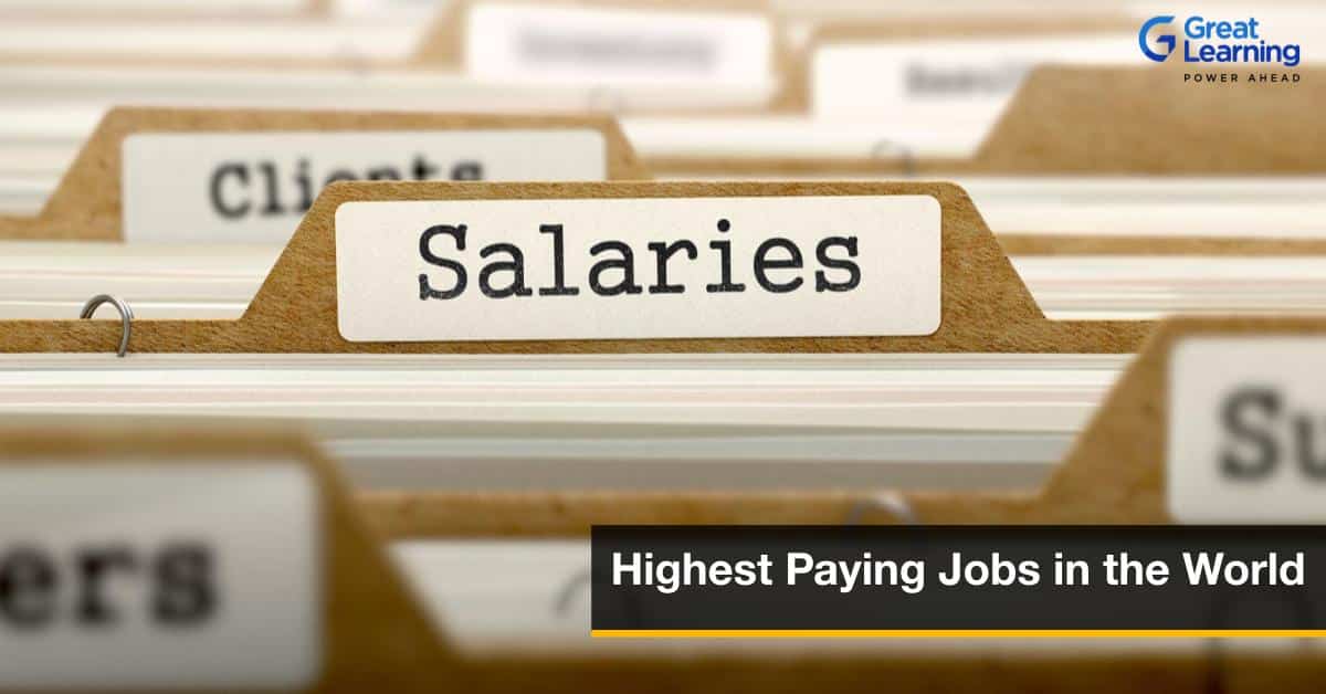 Top 25 Highest Paying Jobs in the World in 2024
