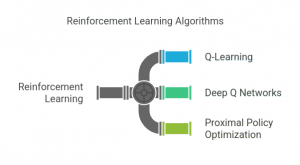 What Are Machine Learning Algorithms? Types and Examples