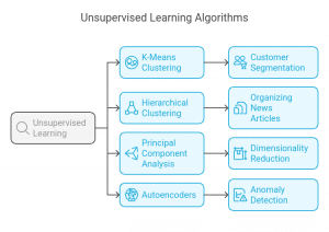 What Are Machine Learning Algorithms? Types and Examples